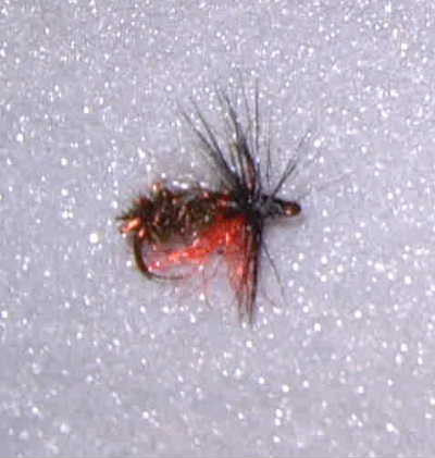 Bloody Vet, Terrestrial Trout Fly pattern, Heather Fly