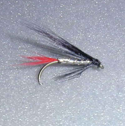 Devon Seatrout Fly pattern: Hair Wing Butcher